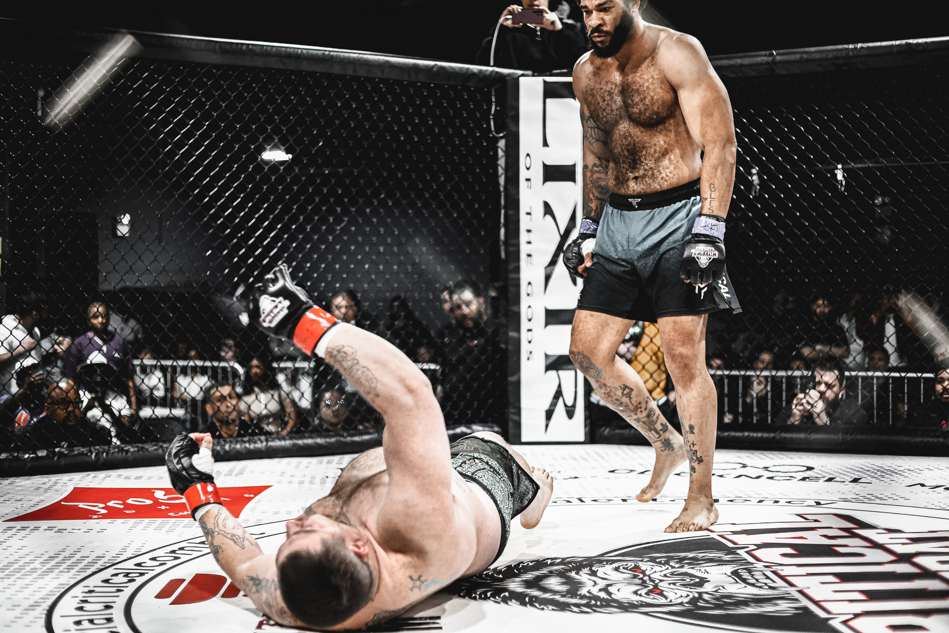 Critical Sports and Entertainment - Empowering Athletes & Live Events
